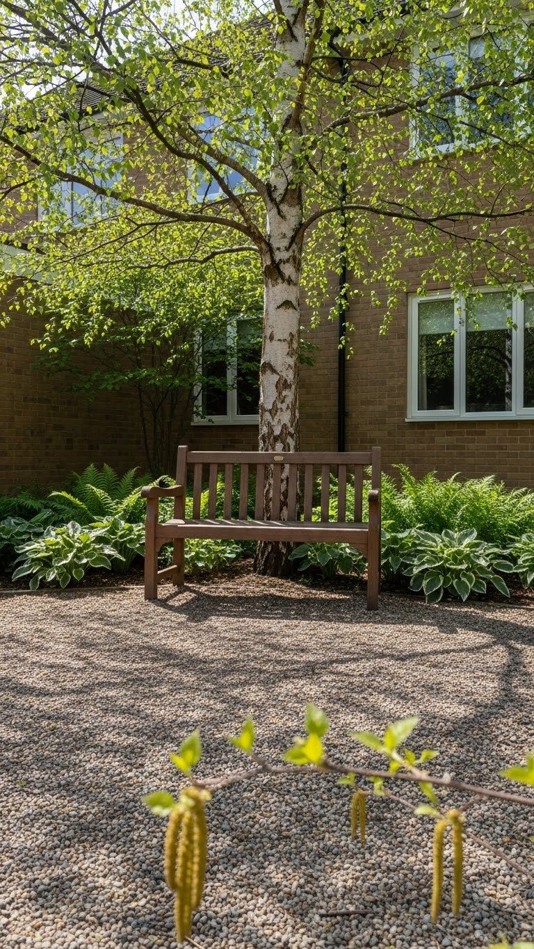 Birch Trees Garden: 15 Beautiful, Practical, Real-Life Ideas