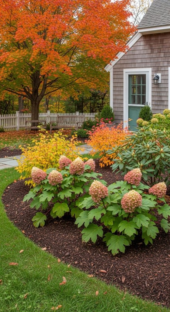 15 Front Yard Bushes Ideas For Beautiful Curb Appeal